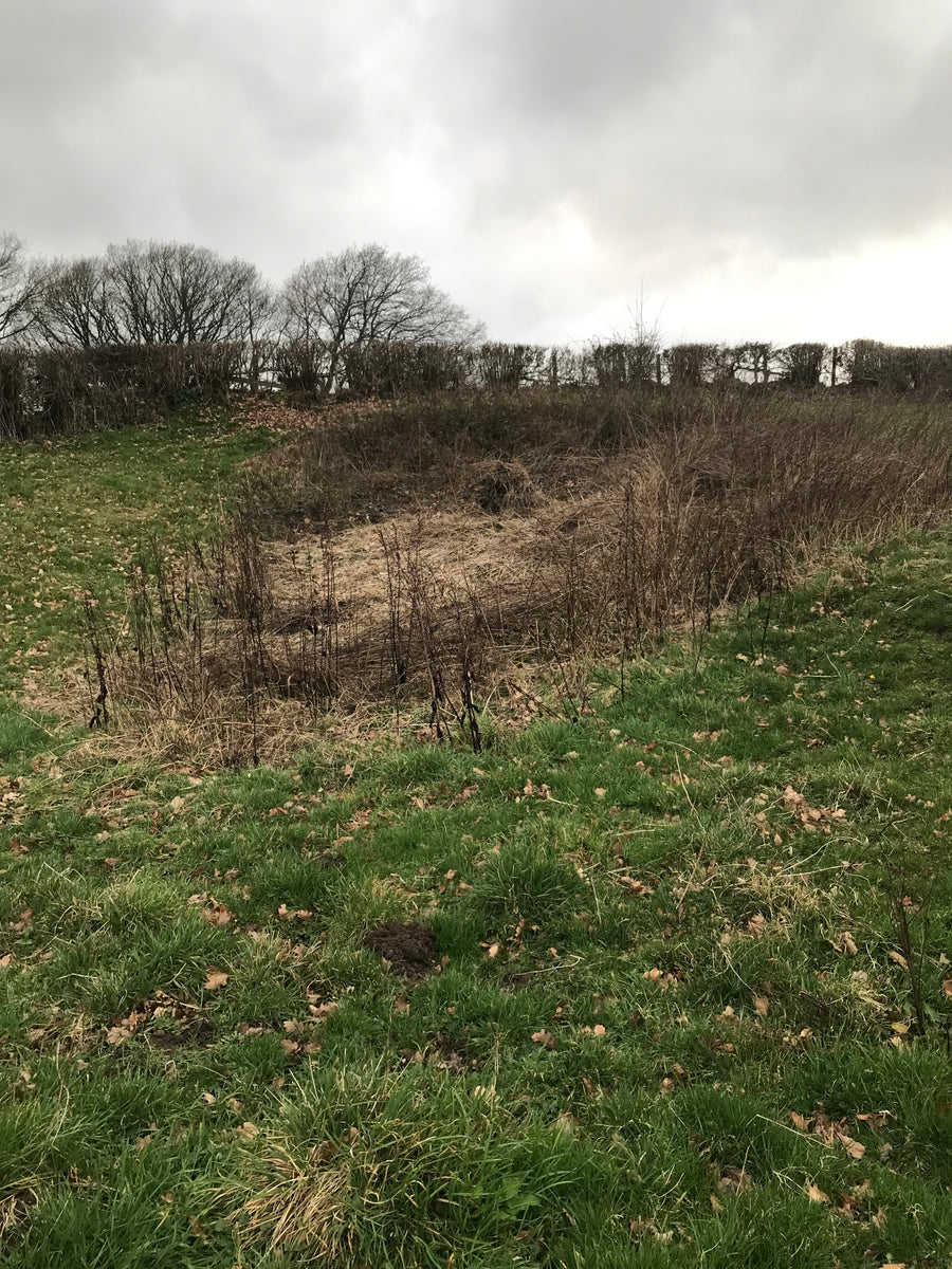 The Quarries of Treflach - Treflach Farm