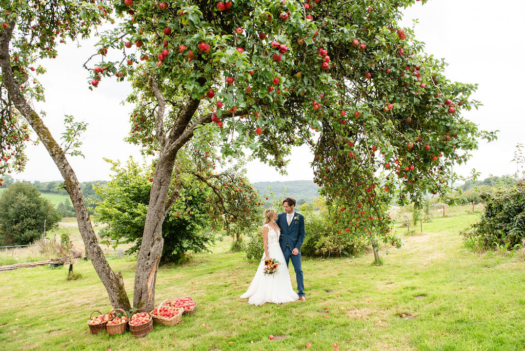 The Apples of Treflach - Treflach Farm