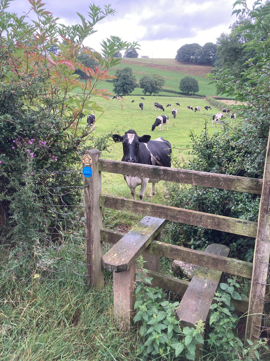 The Footpaths of Treflach - Treflach Farm